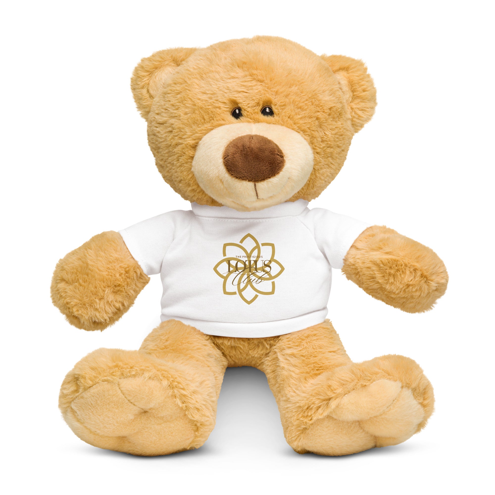 TLC Teddy bear with a t-shirt